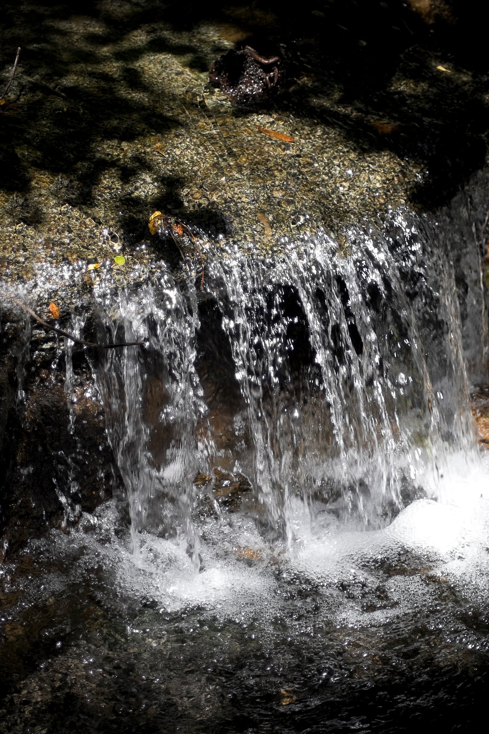 Our Philosophy – Ascension Beverage Co.